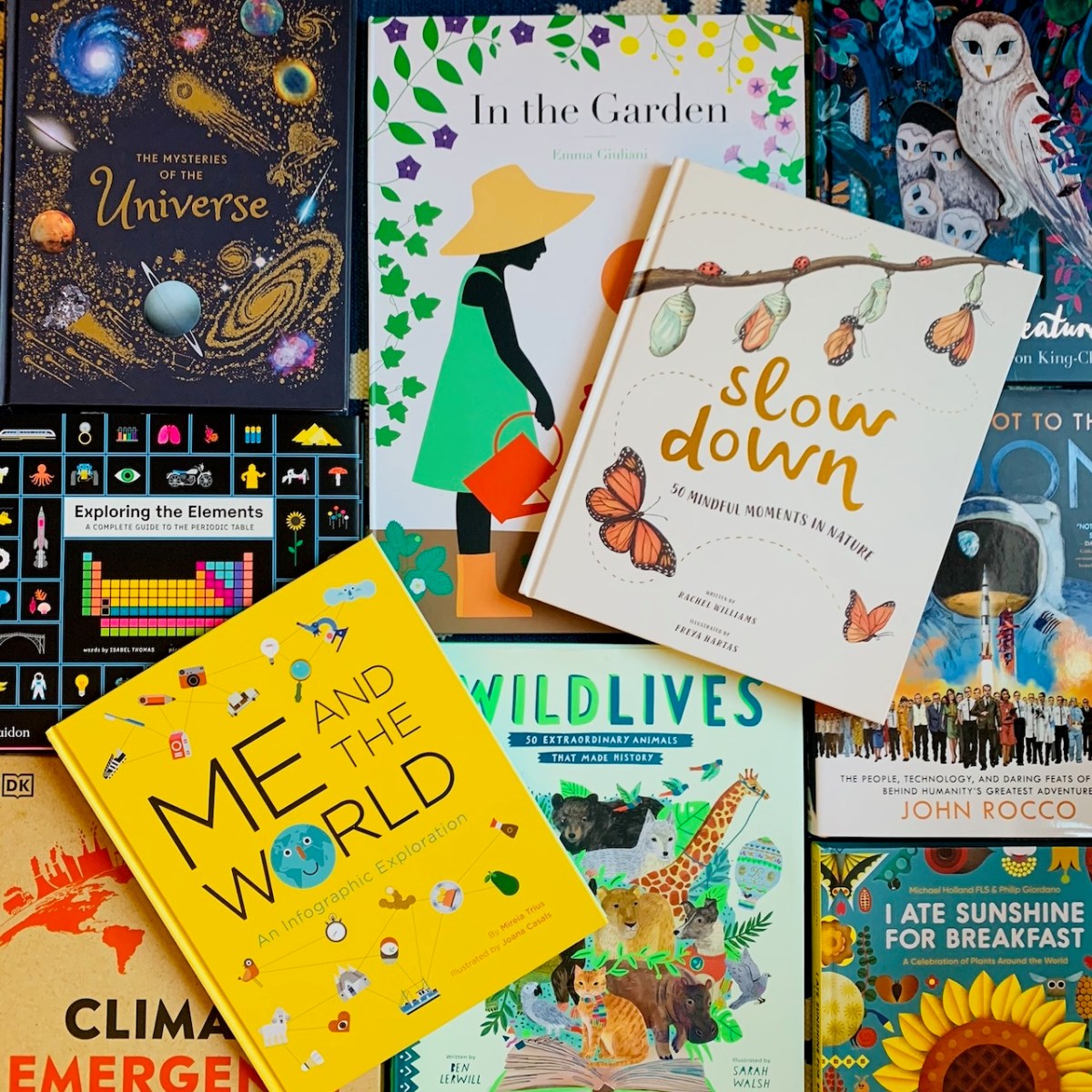 2020 Gift Guide: The “Giftiest” Books for Ages 1-16 | What to Read to ...