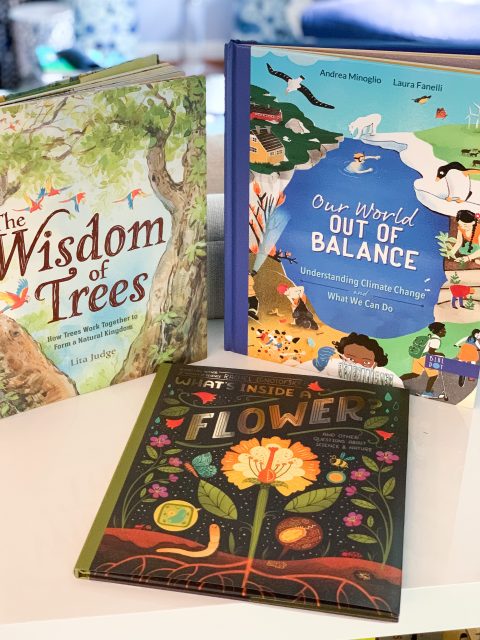 Picture Books for Older Kids | What to Read to Your Kids