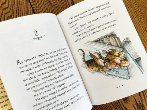 2023 Gift Guide: Illustrated Chapter Books for Ages 5-10 | What to Read ...