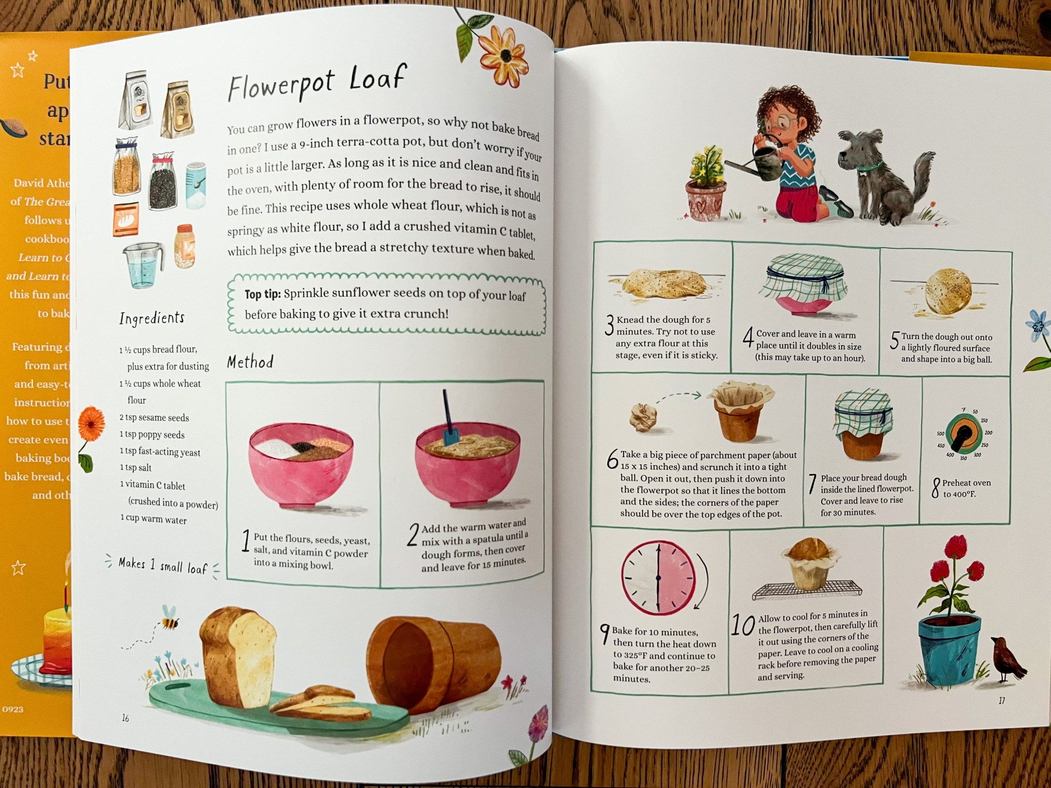 2023 Gift Guide: Browsable Non-Fiction & Novelty Books for Ages 2-15 ...