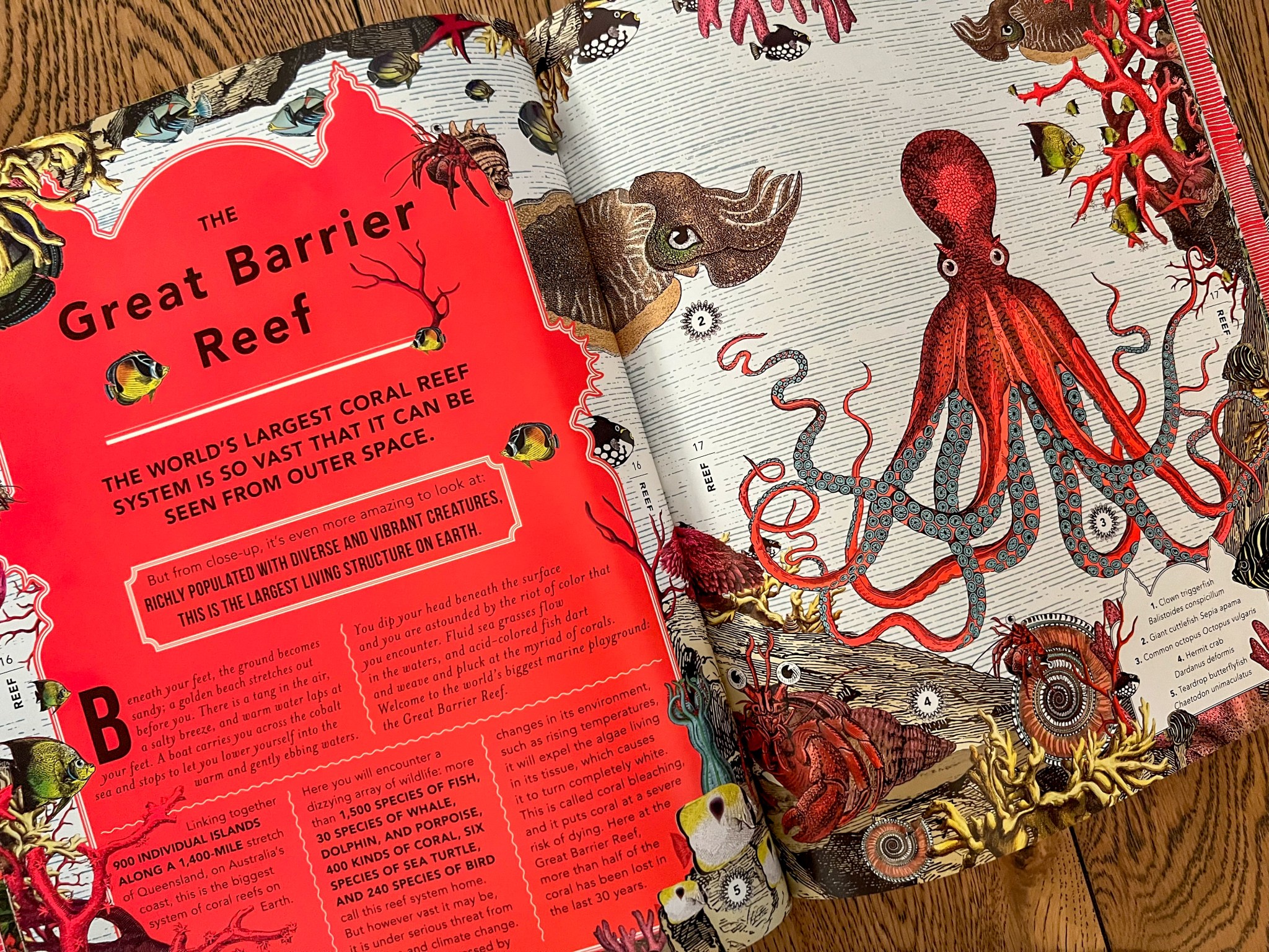 2023 Gift Guide: Browsable Non-Fiction & Novelty Books for Ages 2-15 ...