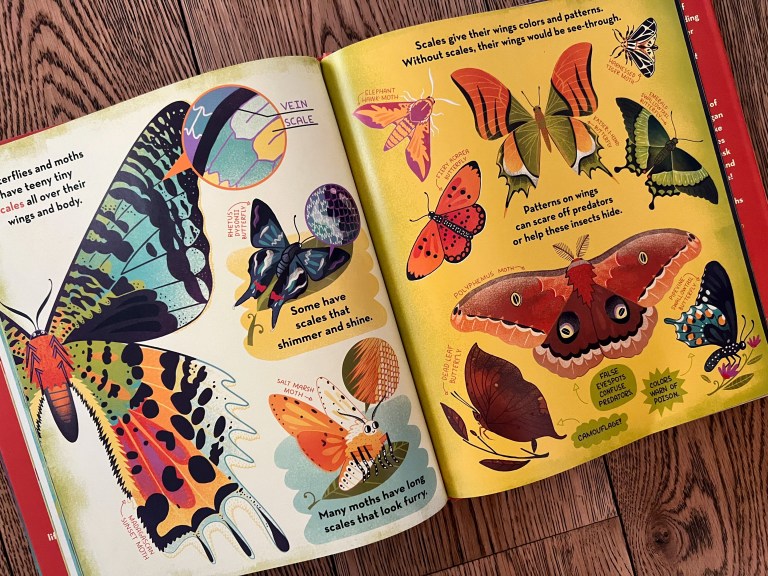 2023 Gift Guide: Browsable Non-Fiction & Novelty Books for Ages 2-15 ...