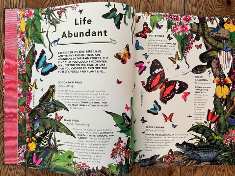 2023 Gift Guide: Browsable Non-Fiction & Novelty Books for Ages 2-15 ...