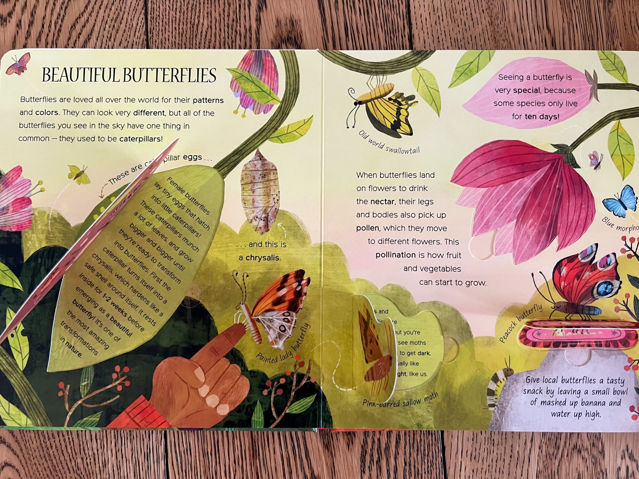 2023 Gift Guide: Board Books for Ages 0-4 | What to Read to Your Kids